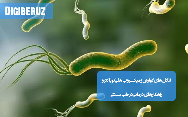 انگل های گوارش و میکروب هلیکوباکتر و راهکارهای درمانی در طب سنتی | دیجی ...